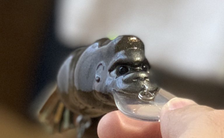 【ゴリラでデカバス釣りたい！】megabass 「GONG(ゴング)」インプレ | Everything I Like